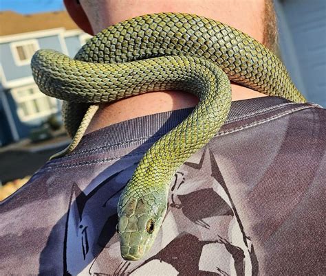 Esmarelda Showing Off That New Skin Glow Rsnakes