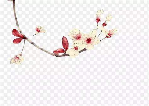 树枝花朵png图片素材下载图片编号qolajeky 免抠素材网