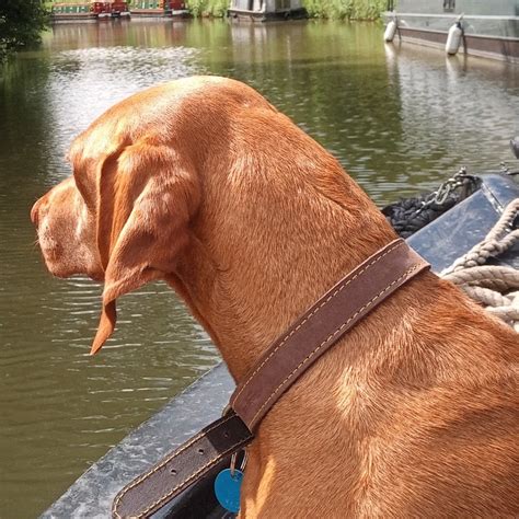 Harrison Davis Animations Youtube