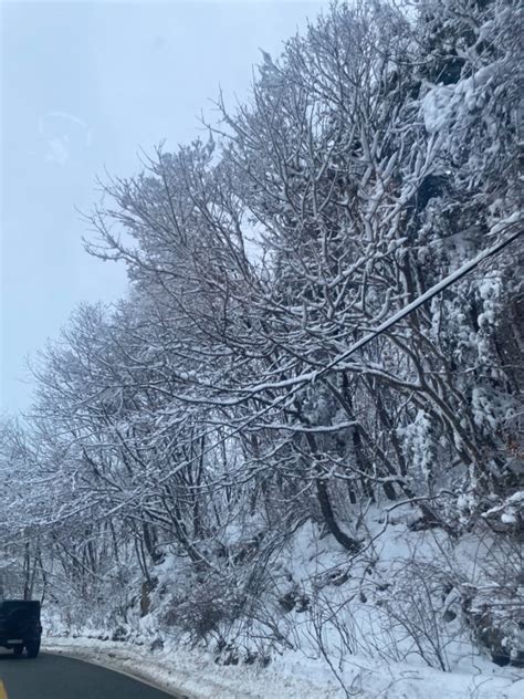 강원도 겨울 여행 평창 안반데기 눈 구경 당일치기 코스 추천 네이버 블로그