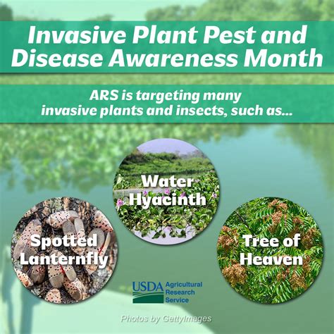 Usda Animal And Plant Health Inspection Service As The Nations