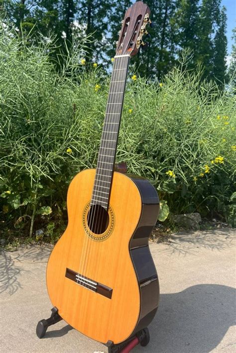 Classic Archives Aiersi Guitar