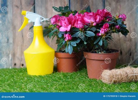 Gardening And Garden Works Background Atomizer For Plants Spraying