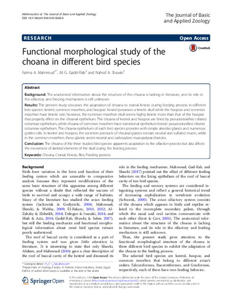 Pdf Functional Morphological Study Of The Choana In Different Bird