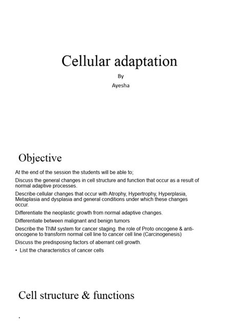 Cellular Adaptation | Download Free PDF | Cancer | Radiation Therapy