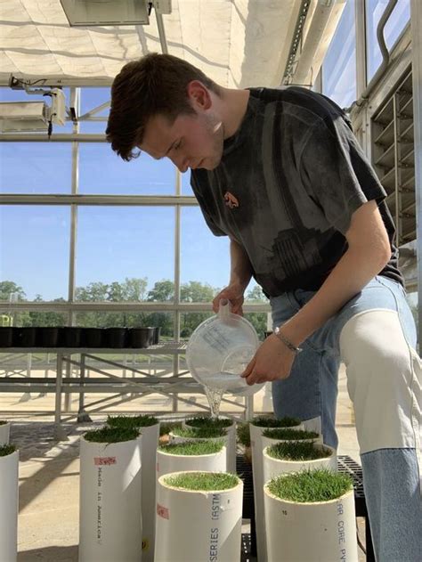 Melissa Todd Posted On Linkedin