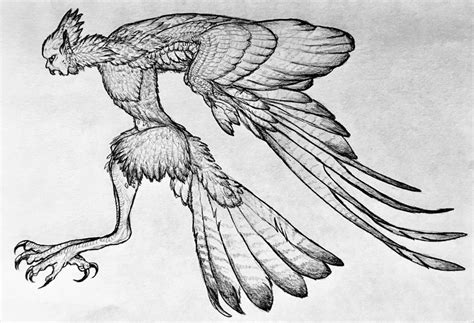 Harpy By Chappiefeathers On Deviantart