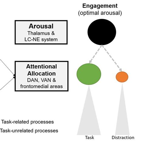 Anastasios Bezerianos University Of Patras Pátra Up Department Of Medical Physics