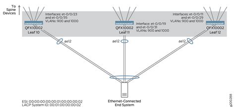 Centrally Routed Bridging Overlay Design And Implementation Juniper Networks