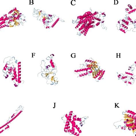 Tertiary Structure Of The Proteins That Had Similarity With Resolved Download Scientific