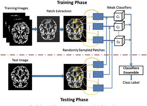Figure 1 From Ensemble Sparse Classification Of Alzheimers Disease Semantic Scholar