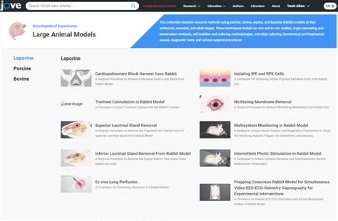 Tarek Allam On Linkedin Research