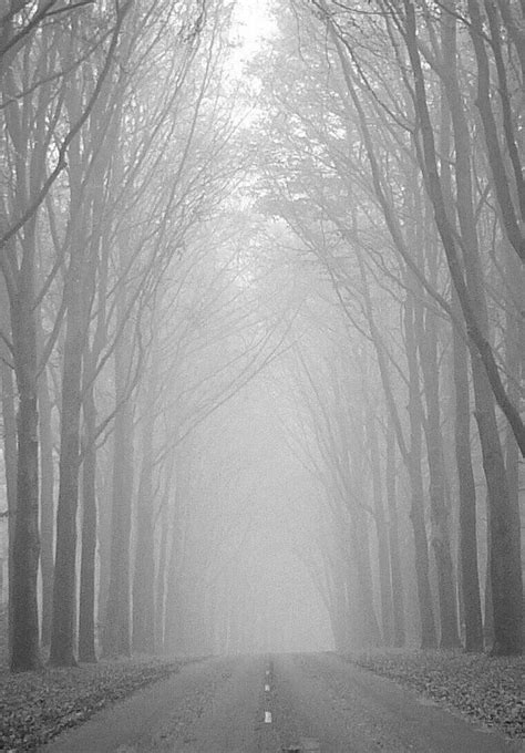 Als De Wind Fluit Gedichten 1 Mieke Mintjes Mieke M