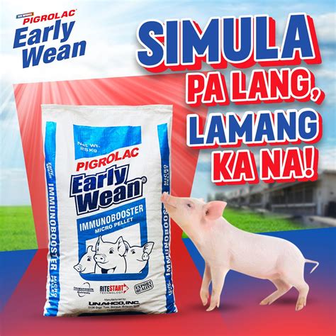 Pigrolac Biik Pa Lang Wean Er Na Para Sa Masaganang