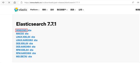 windows环境下安装elasticsearch、kibana windows安装kibana csdn博客