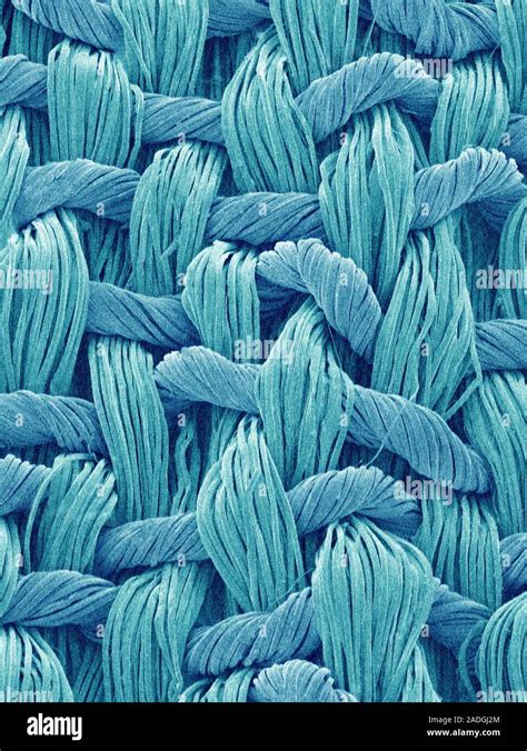 Synthetic Fibres Coloured Scanning Electron Micrograph Sem Of Synthetic Fibres Woven To Form