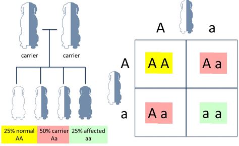 Recessive Gene