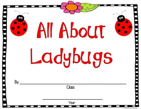Cross Curricular Ladybug Thematic Unit Ideas The Teaching Scene