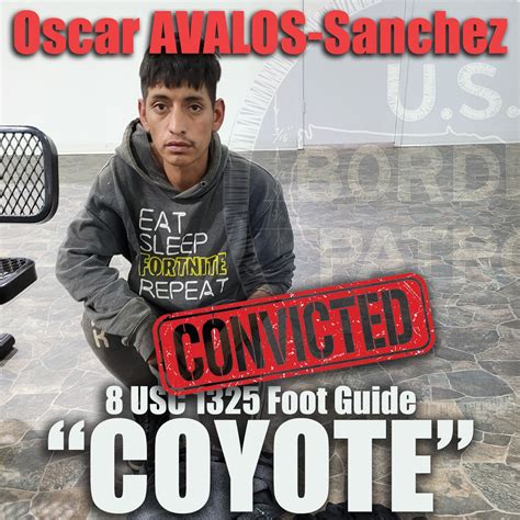 Patricia D Mcgurk Daniel U S Border Patrol Sector Chief 3 17 Border Patrol Agents Assigned