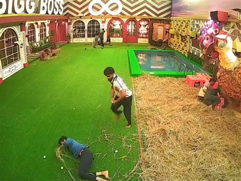 Bigg Boss Telugu Season 8 Prabhavathi 20 Brings Back The Fights