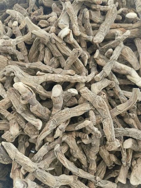 Sweet Flag Root At ₹ 160kg Acorus Calamus Root In Hyderabad Id