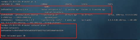 一键删除所有未使用的docker镜像和无用容器 记录生活，精彩一刻