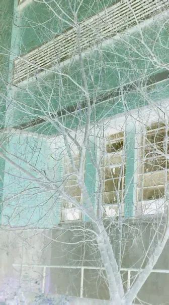 Old Ymca Wallpaper By Mferguson72 Download On Zedge™ 4d47