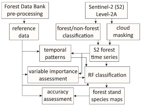 Scheme Of Forest Tree Species Mapping With Different Combination Of