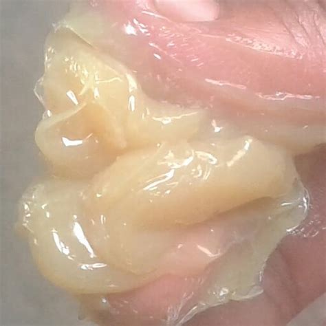 Teata Grease Youtube