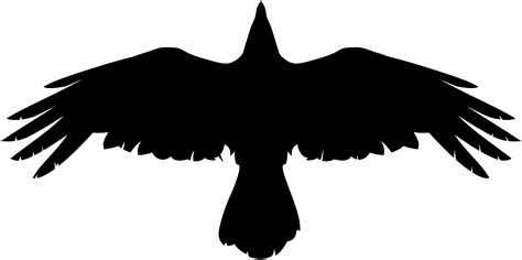 Detail Crow Vector Png Koleksi Nomer 22