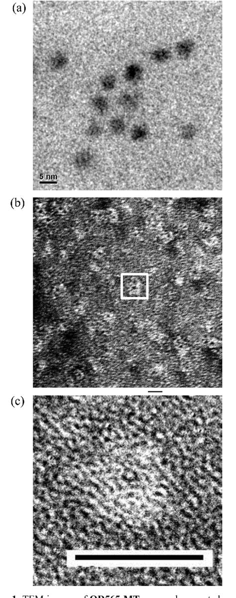 Figure 1 From Cellular Uptake Properties Of The Complex Derived From