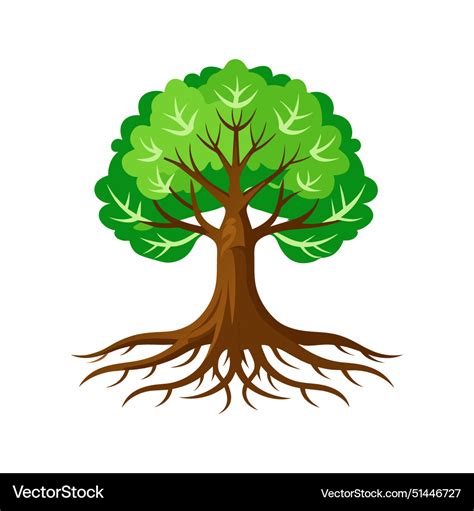 Tree With Roots Royalty Free Vector Image VectorStock