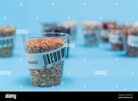 Genomic Selection Predicting The Performance Of Crops Based On Their Genetic Makeup Enabling