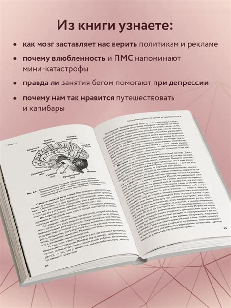 Книга Мозг и его потребности 20 От питания до признания Вячеслав ...