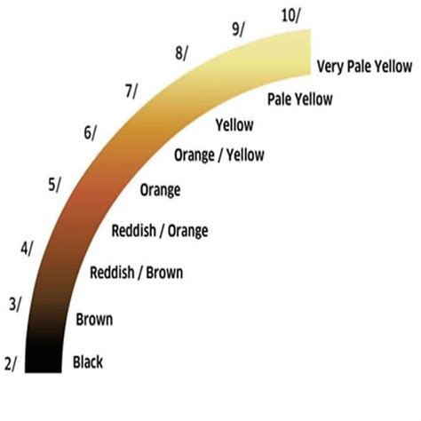 Bleaching Hair Color Chart At Ronald Caster Blog