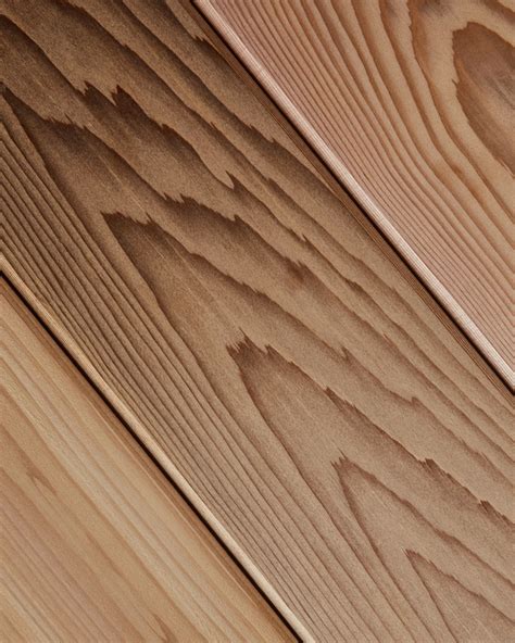 Cherestea Exotică Cedru Roșu Enipau Ro