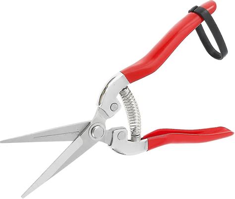 Garden Snips Nz Fasci Garden