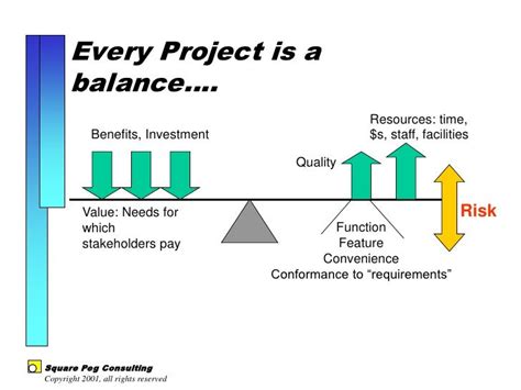 The Project Balance Sheet