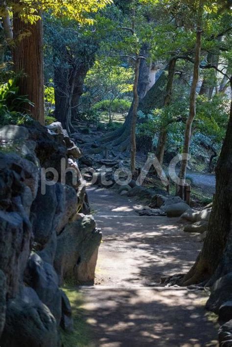 庭園の小道 No 25989215｜写真素材なら「写真ac」無料（フリー）ダウンロードok