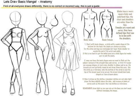 Basic Manga Anatomy Tutorial By Hoshi Kou On Deviantart Anatomy