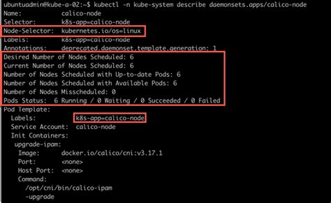 CKA Study Notes Daemon Sets Vs Replica Sets Vs Deployments Rudimartinsen Com