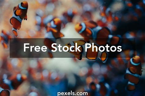 Gurukool School Photos Download The Best Free Gurukool School Stock