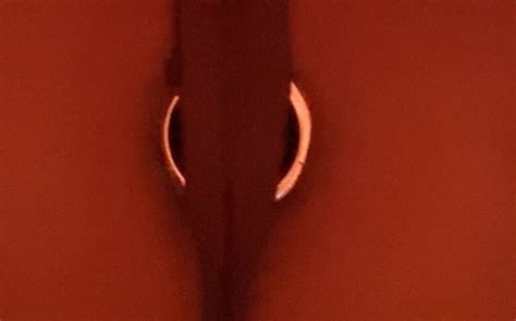 Pov Buttplug Pushdowns On You Gay Sissy Amateur Porn Feat Number F 19