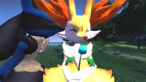 Lucario Gives Braixen A Flower By Sonicx804 On Deviantart