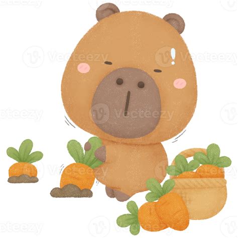 Capybara With Carrots 65680995 Png