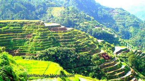 Banaue Rice Terraces A Tour Like No Other