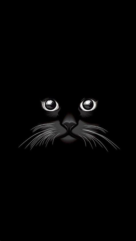 Cartoon Cat Face Wallpapers Top Free Cartoon Cat Face Backgrounds