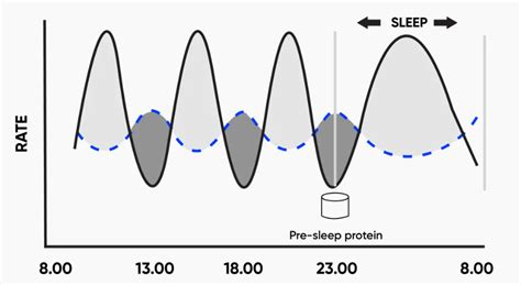 Casein The Protein For Overnight Recovery Actus Nutrition