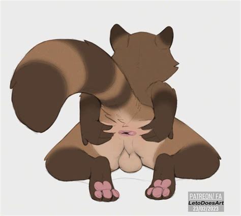 Rule 34 Ass Asshole Balls Furry Gay Presenting Hindquarters Raccoon