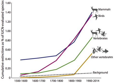 Graph Of The Sixth Mass Extinction Via Iflscience Kenn Orphan